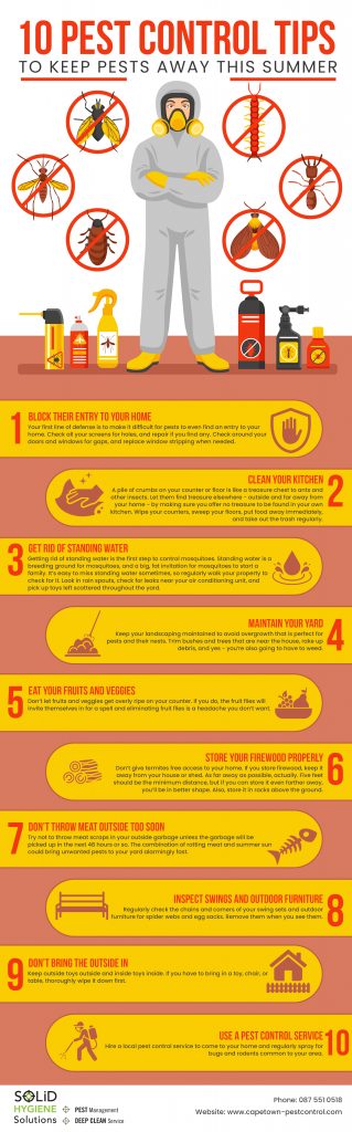Useful Tips for Preventing Pests in Cape Town